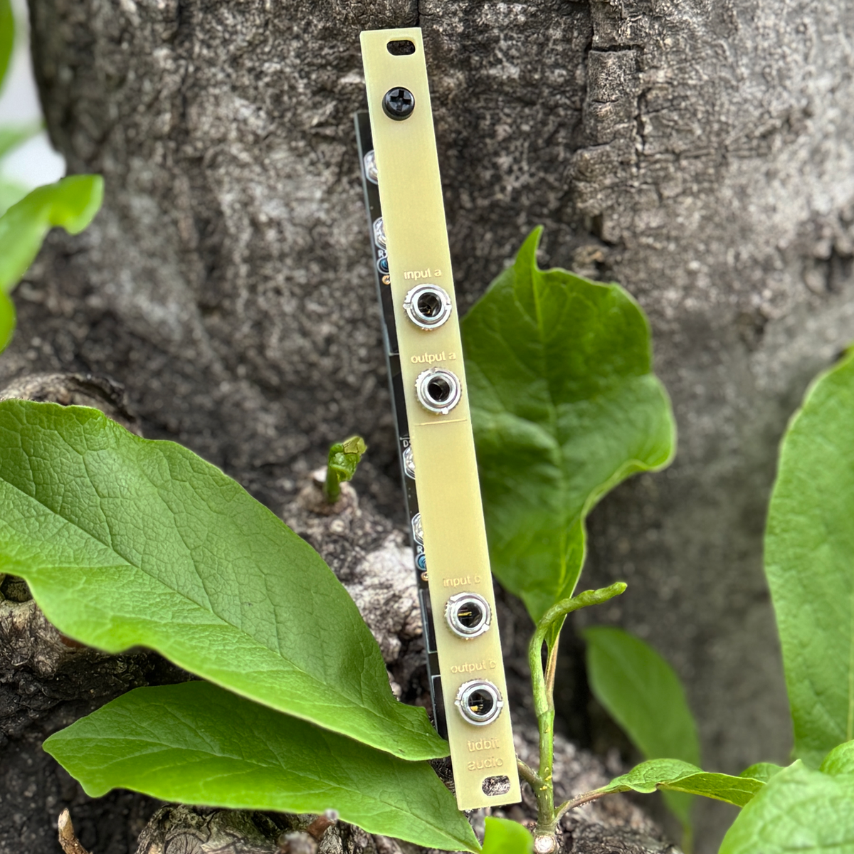 Random CV Generator (2HP) – beatsville